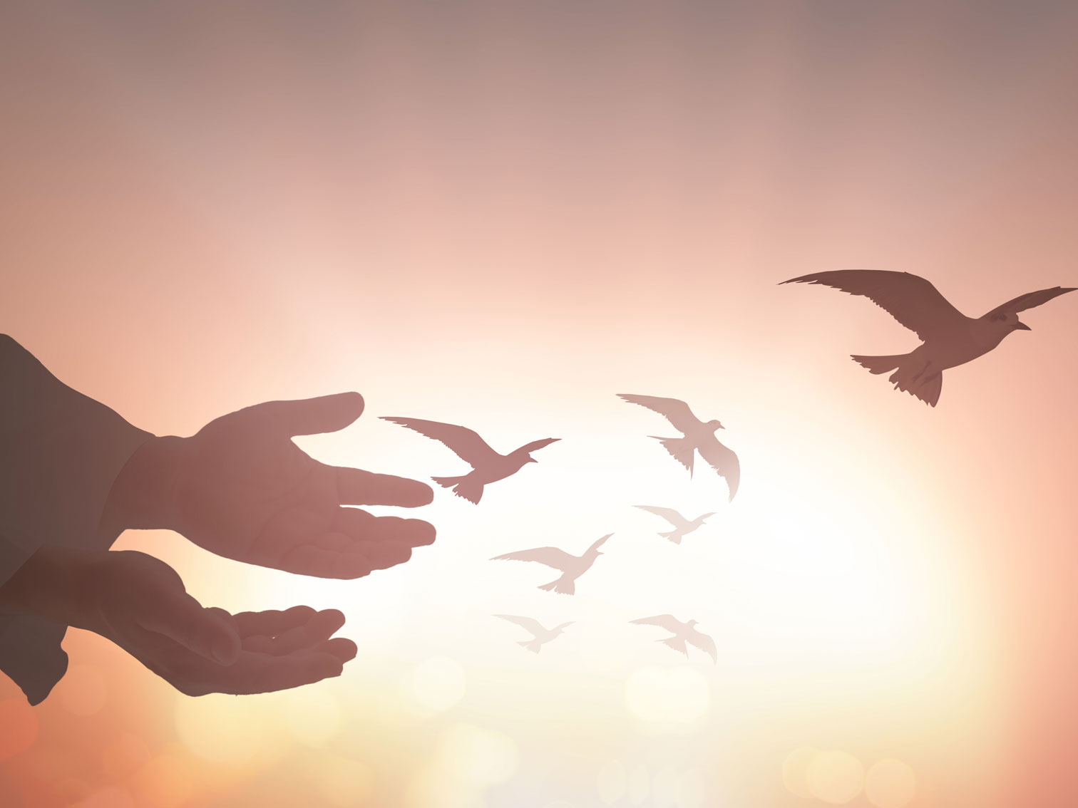 Prophet Jesus (p) in Islamic Tradition - IMAM-US.org